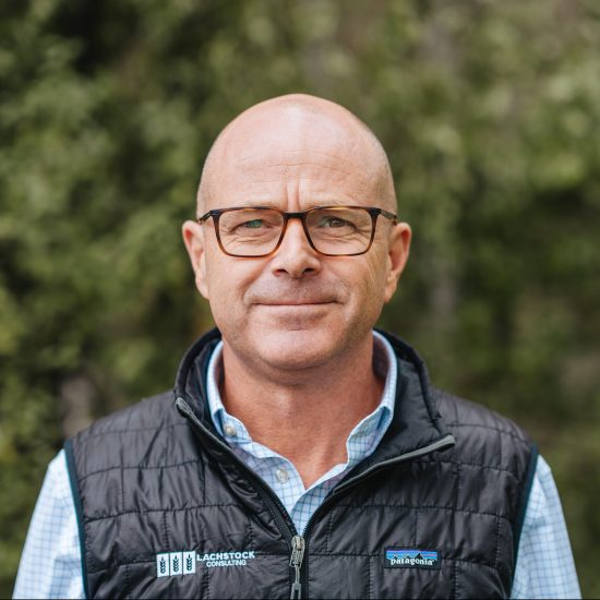 Who We Are - Lachstock Consulting